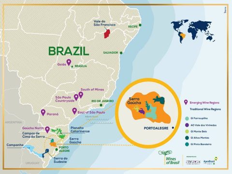 Curiosidades sobre o vinho brasileiro - Sampa Vinho